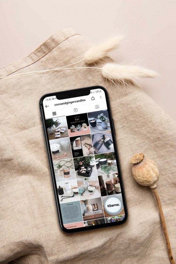 Coco & Ginger - Shuga Designs